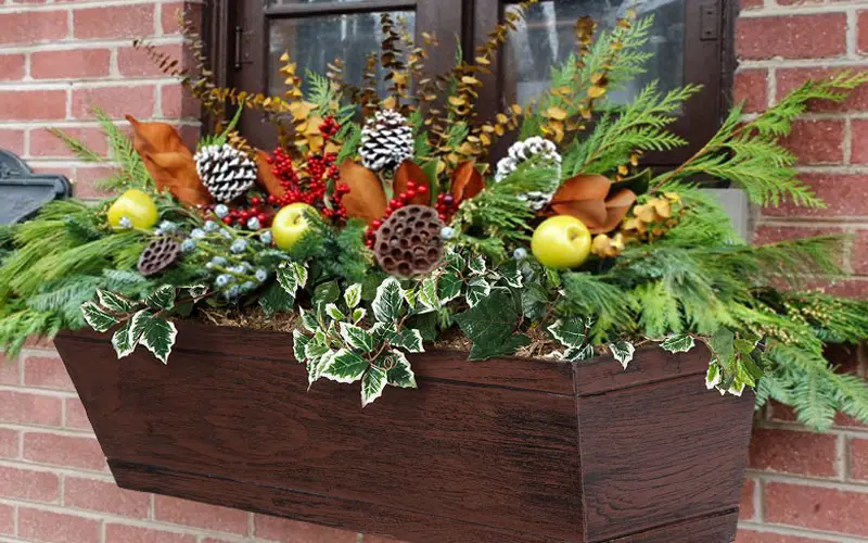 21 Fall Window Box Ideas (Photos) - Garden Lovers Club