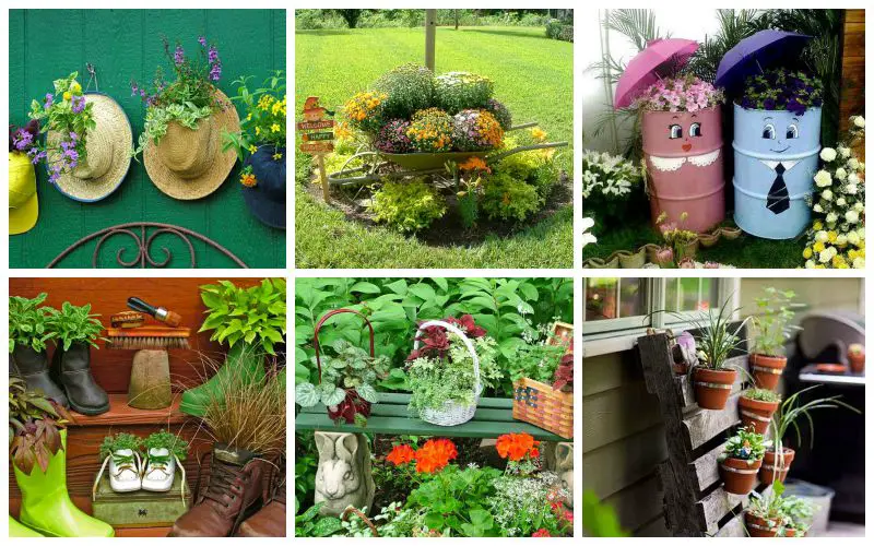 How Do I Fertilize My Magnolia Tree? - Garden Lovers Club