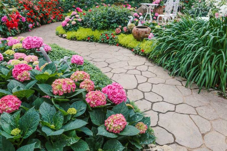 10 Plants for a Shaded Walkway - Garden Lovers Club