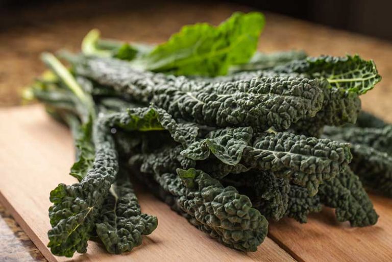 The Different Types of Kale Varieties - Garden Lovers Club