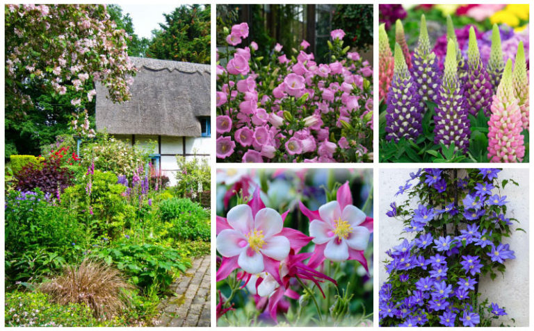 How to Design a Stunning Old-Fashioned Cottage Garden - Garden Lovers Club