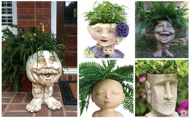 15 Fun and Unique Face Planter Ideas - Garden Lovers Club