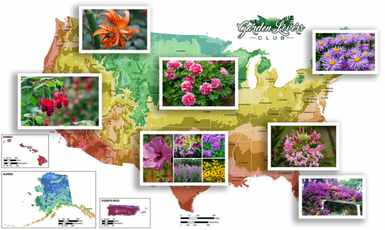 10 Fabulous Virginia Perennials - Garden Lovers Club