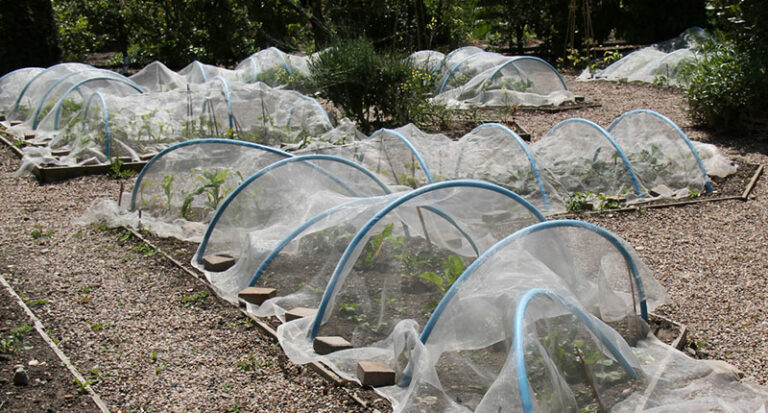 How To Use Garden Fleece - Garden Lovers Club