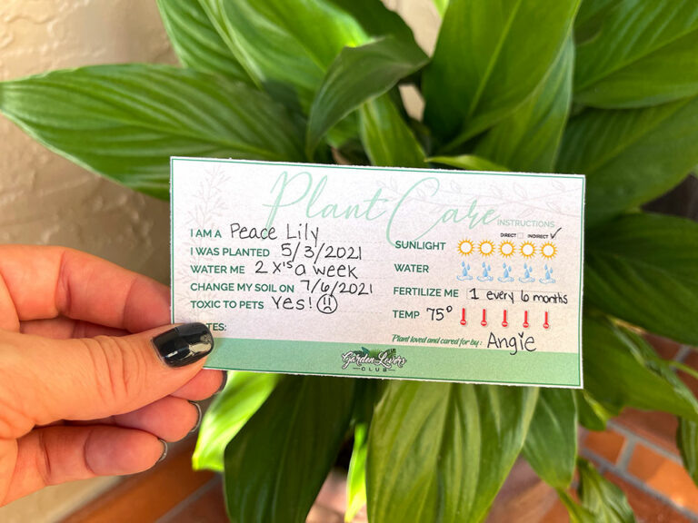 Printable Plant Care Tags (FREE!) - Garden Lovers Club