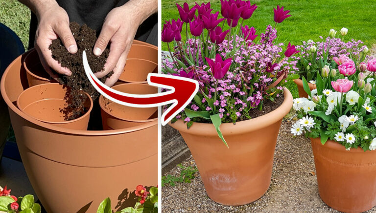 Money Saver: Homemade Potting Mix for AMAZING Containers - Garden ...