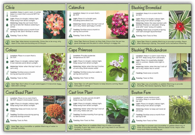 120 Printable Houseplant Care Cards! - Garden Lovers Club