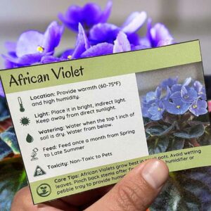 Printable Houseplant Care Cards! - Garden Lovers Club