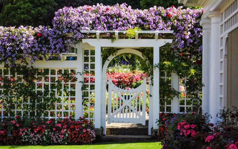 32 Breathtaking Flower Box Ideas - Garden Lovers Club