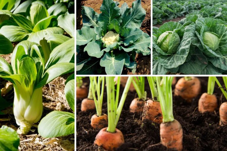 15 Plants That Will Grow Underneath Almost Any Tree - Garden Lovers Club