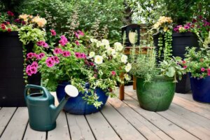 12 Perennials You Can Easily Grow from Seed - Garden Lovers Club