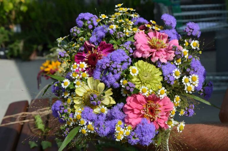Zinnia Bouquets: Tips for Stunning Arrangements and Long-Lasting Beauty ...