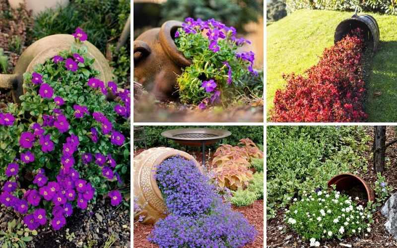 12 Best Plants for a Spillover Effect - Garden Lovers Club