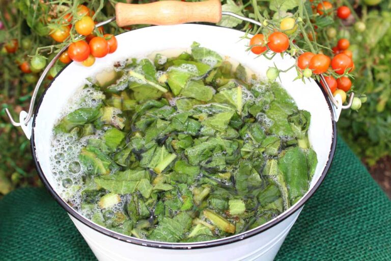 How to Make Homemade Comfrey Fertilizer - A Powerful, Natural ...