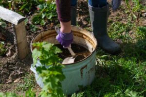 How to Make Homemade Comfrey Fertilizer - A Powerful, Natural ...